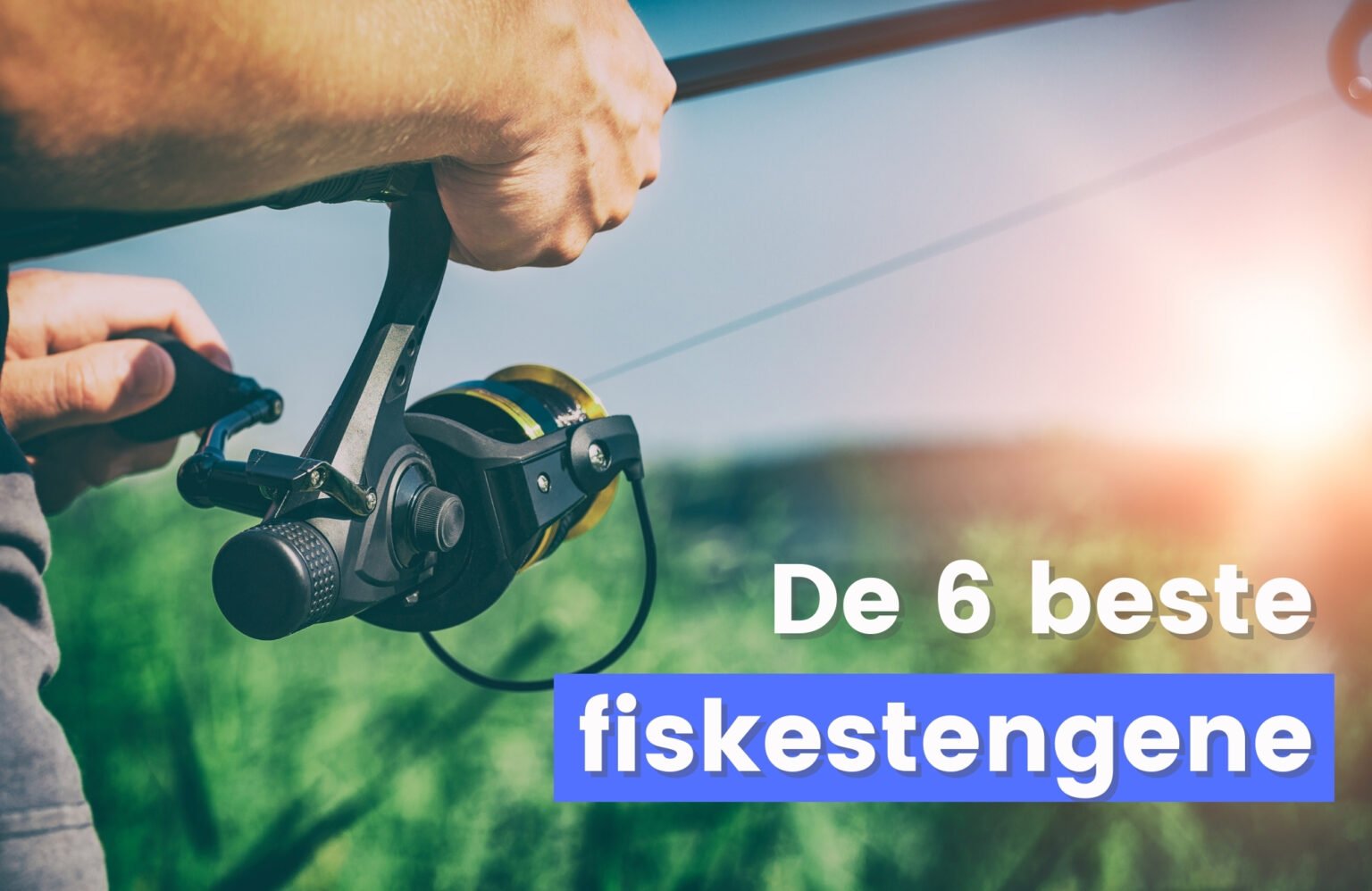Dyr Kryssord - 5682 Ulike Dyr - Kryssord hjelp - Norgee Dyr Kryssord - 5682 Ulike Dyr - Kryssord hjelp - Norgee